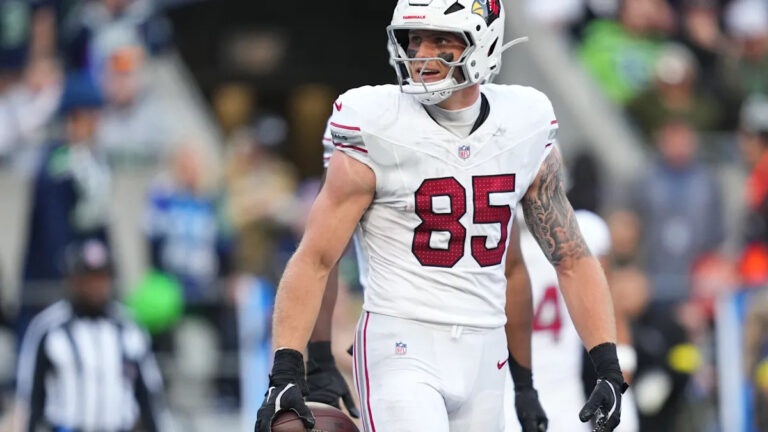 Classificações do Fantasy Football da semana 12 de 2025: TE, K, DEF ...